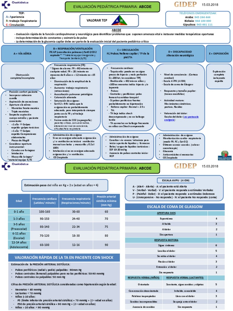 Gidep Abcde | PDF | Sistema respiratorio | Presión sanguínea