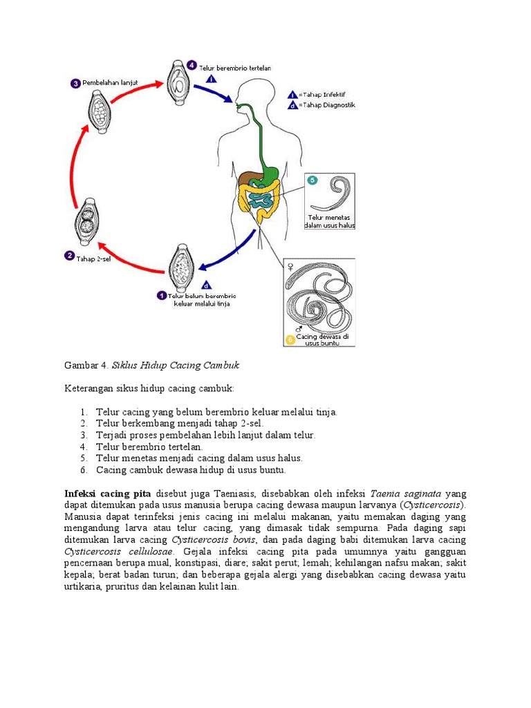 Gambar Kecacingan 2 | PDF