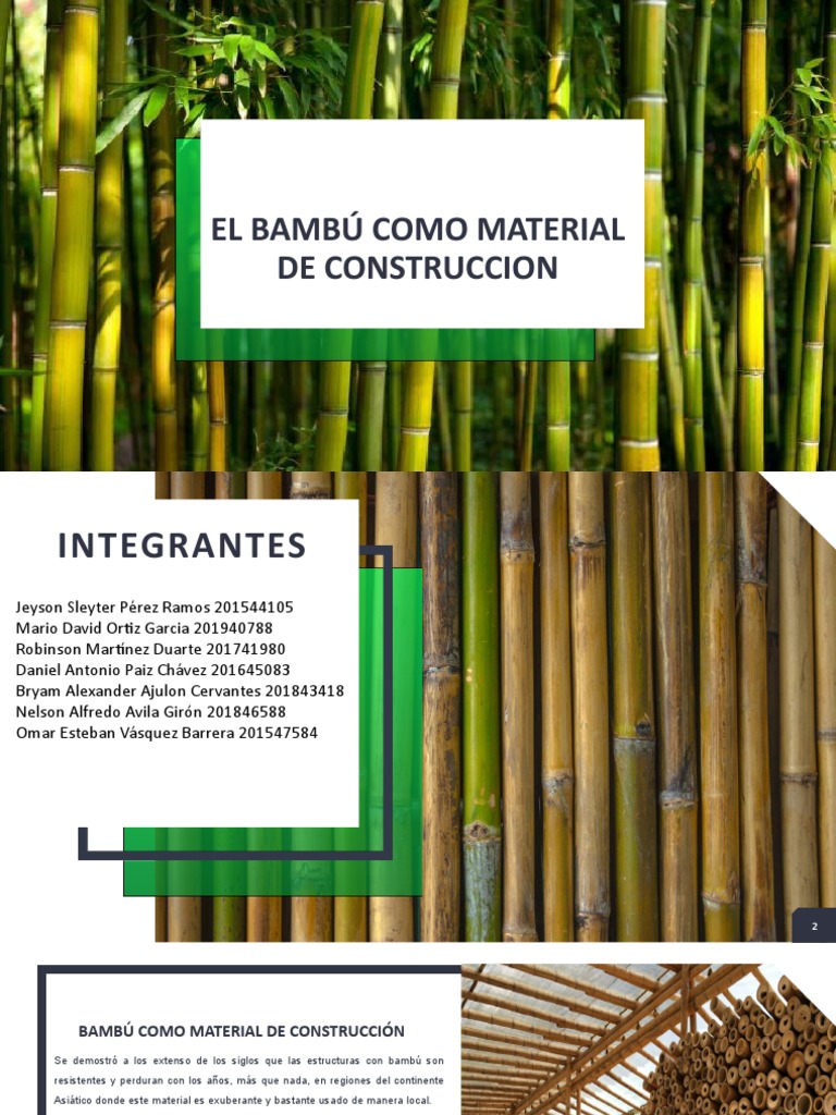 Bambú: Material Sostenible en Construcción | PDF | Madera | Hormigón