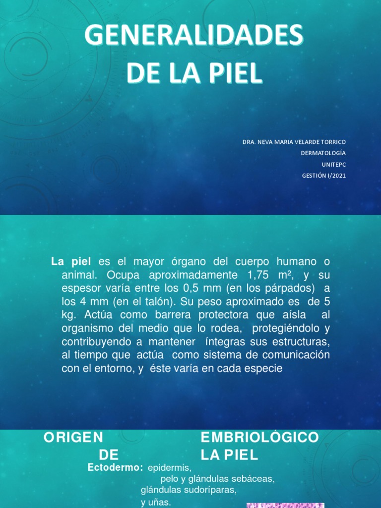 Tema 1 Generalidades | PDF | Piel | Epidermis