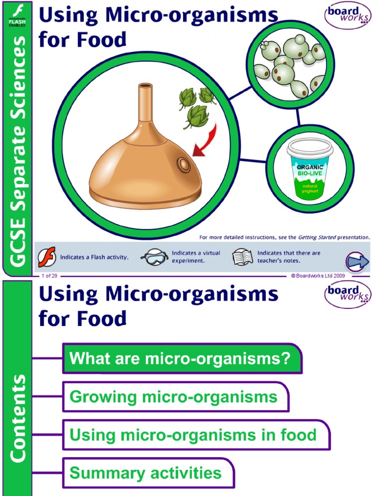 Using Microorganisms For Food | PDF | Yeast | Microorganism