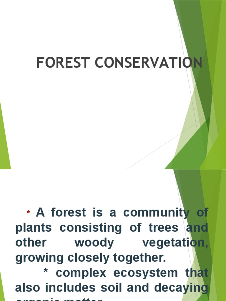 Forest Conservation | PDF | Forests | Physical Geography