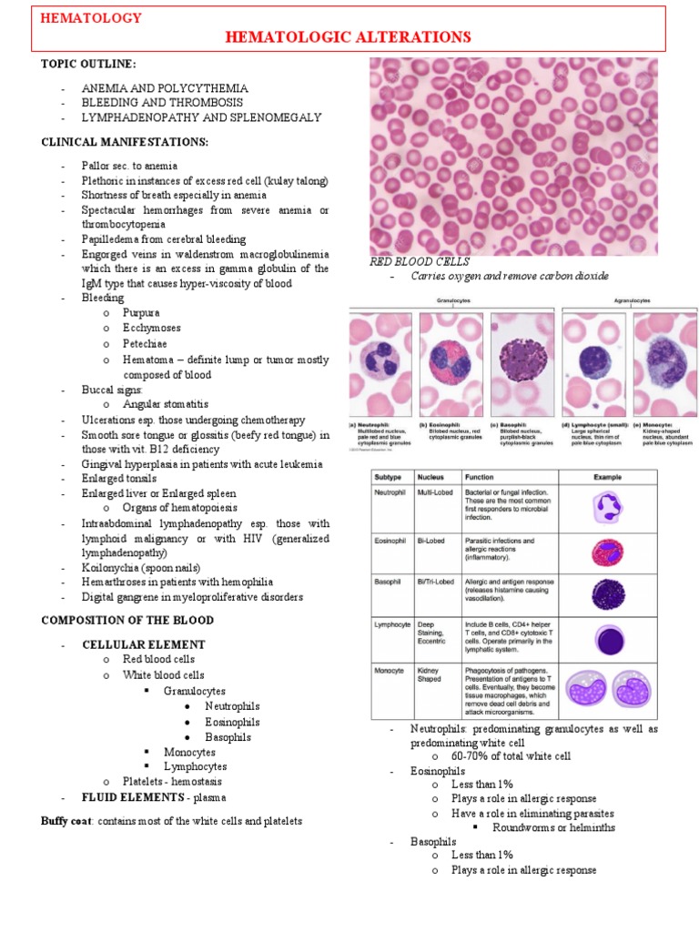 Hematologic Alterations Overview | PDF | White Blood Cell | Blood Cell