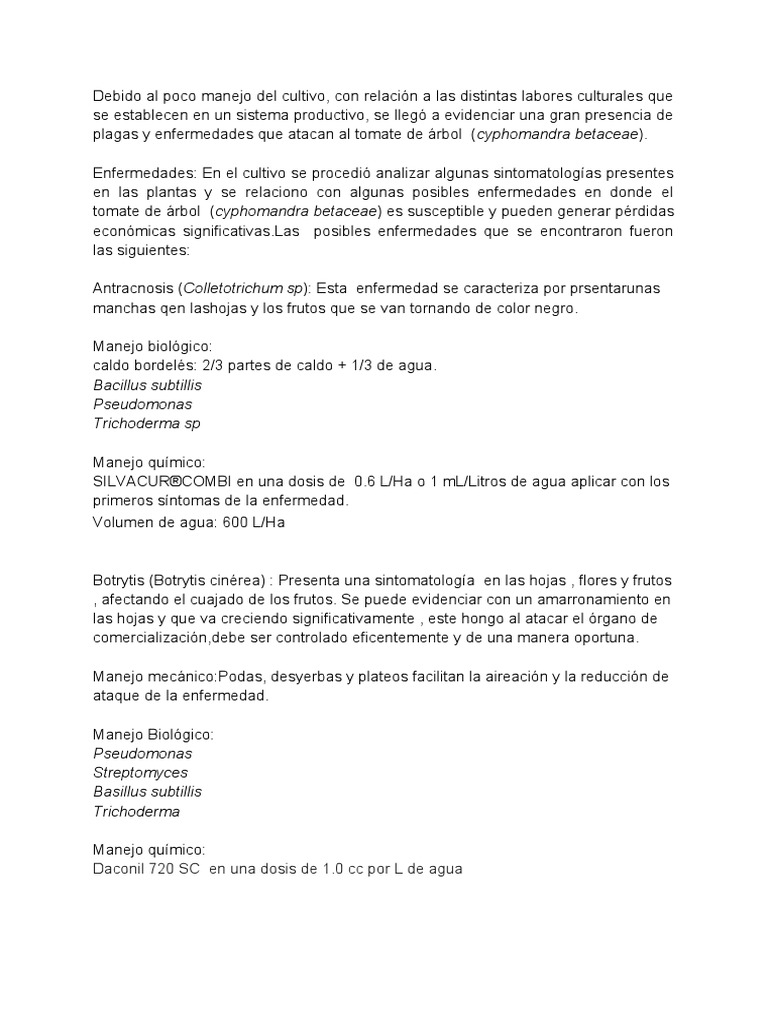 MIPE en Tomate de Arbol | PDF | Control biológico de plagas | Mosca