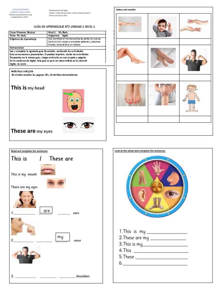 1ero Guia 2 Unit 1 My Body Nuevo Formato Lesson 1 2 | PDF
