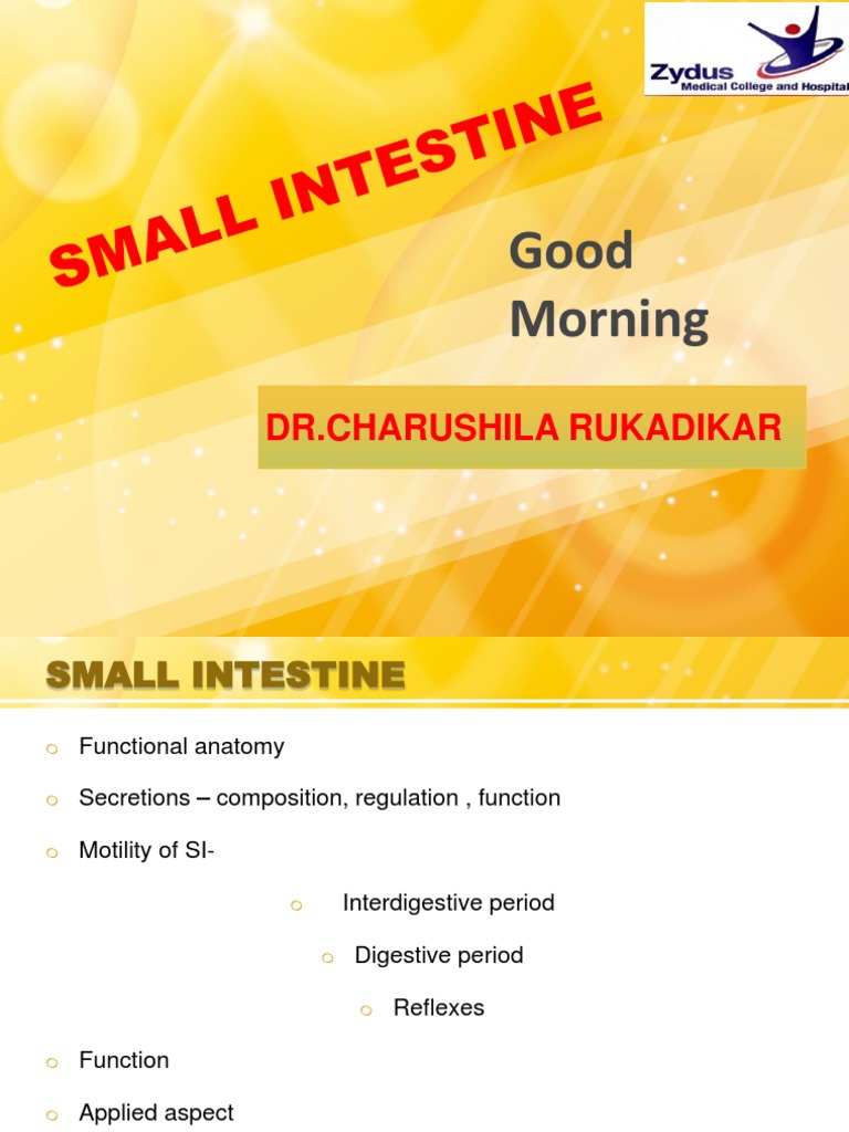 Small Intestine Physiology Overview | PDF | Gastrointestinal Tract ...