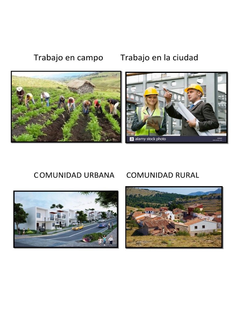 Trabajo en Campo Trabajo en La Ciudad | PDF