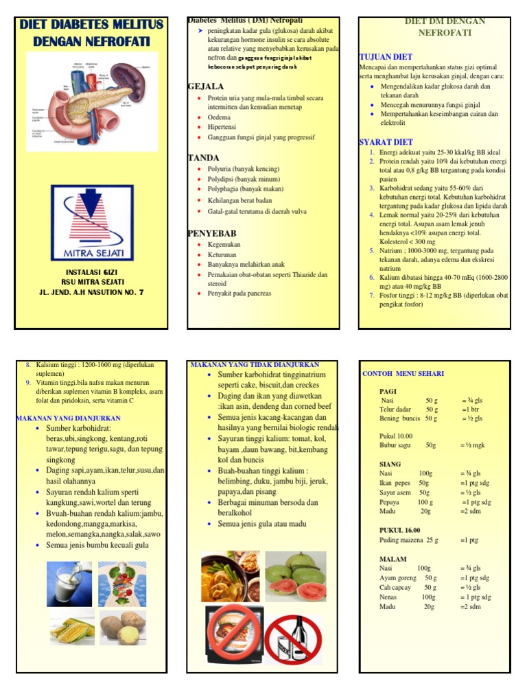 Leaflet DM Nefropati | PDF