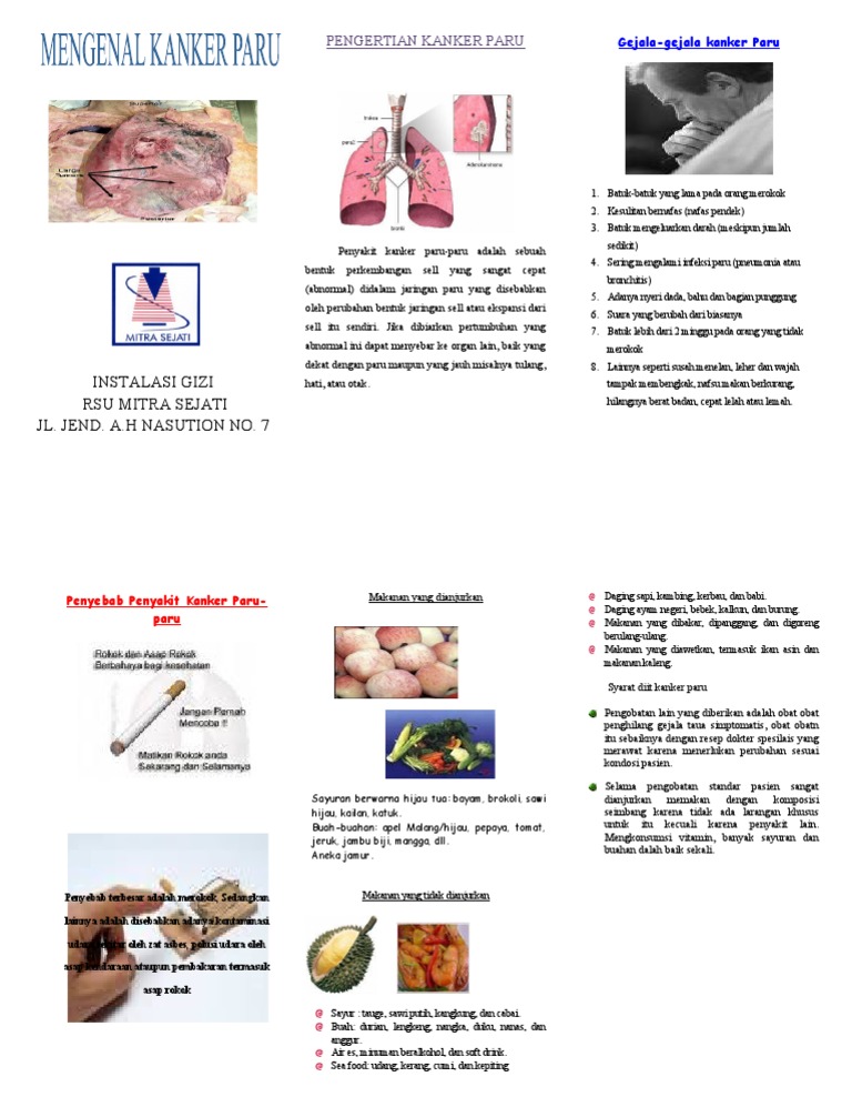 Leaflet Kanker Paru | PDF