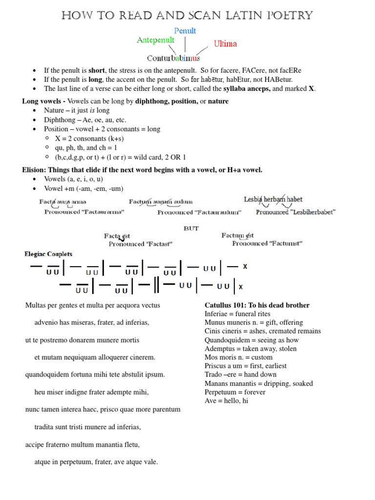 Scansion Techniques for Catullus 101 | PDF