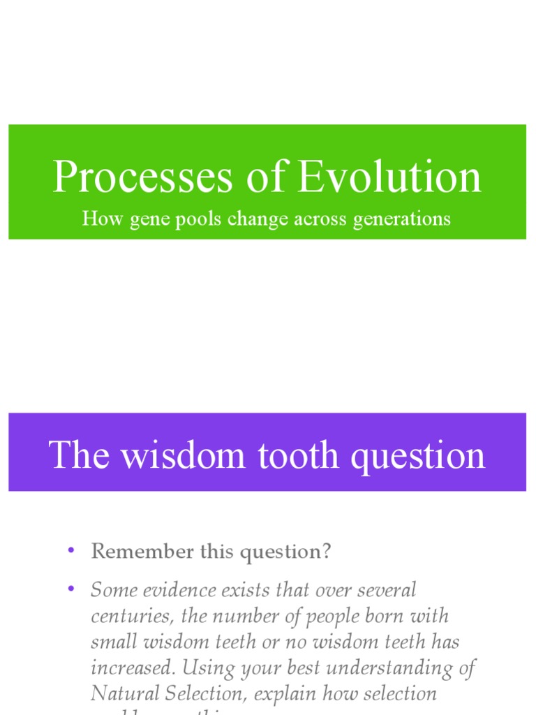 Processes of Evolution: How Gene Pools Change Across Generations ...