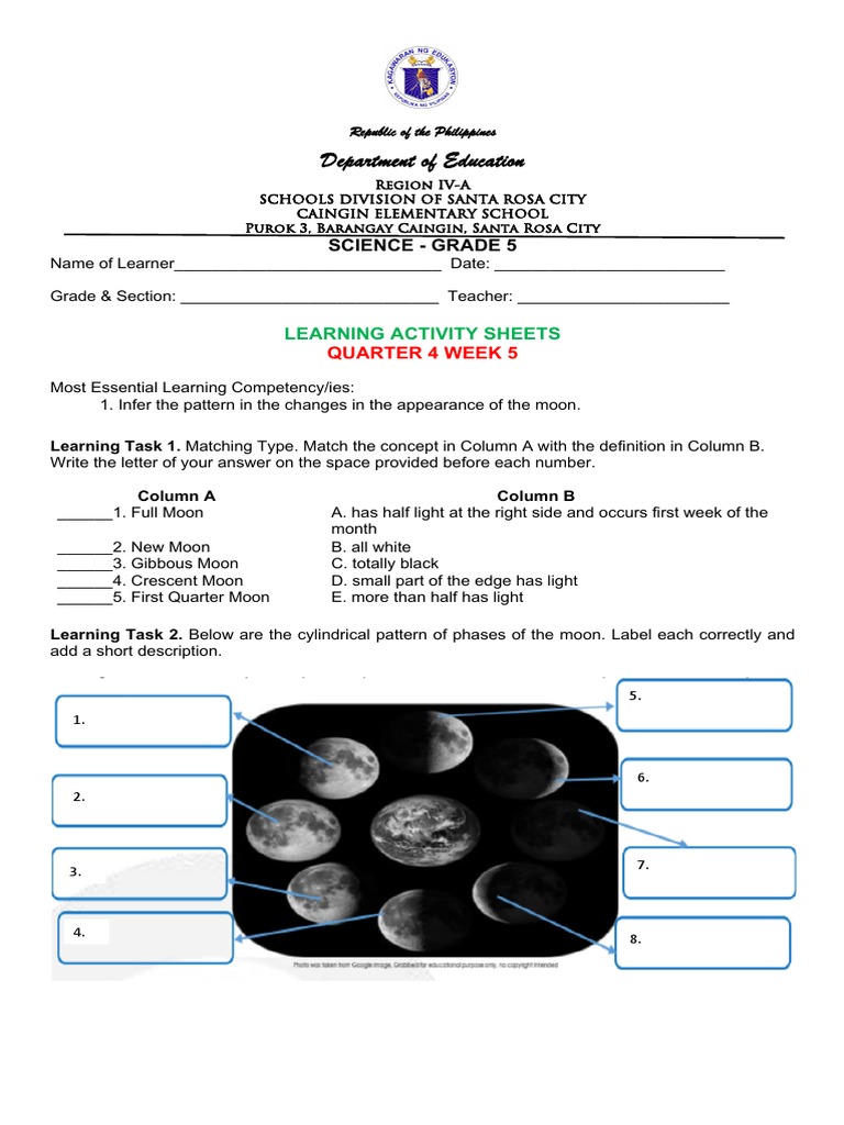 Grade 5 Science Activity: Moon Phases | PDF | Moon | Earth