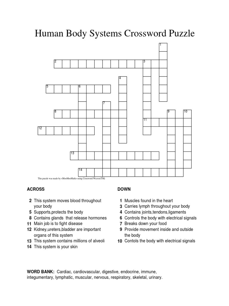 Human Body Systems Crossword Puzzle | PDF | Human Body | Zoology