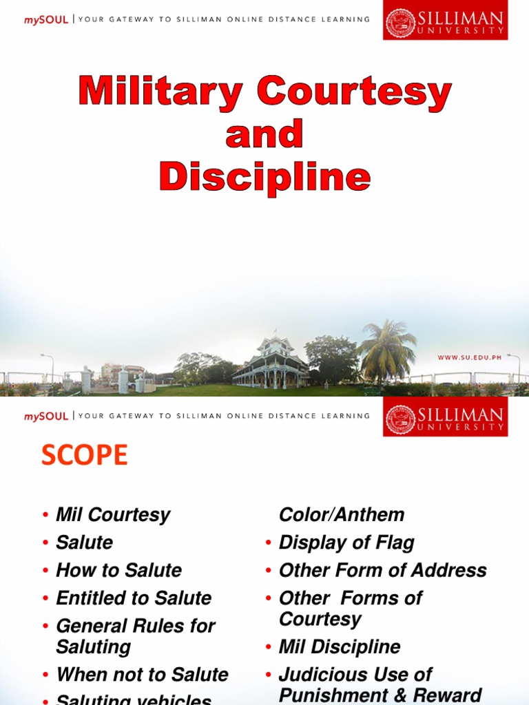 Military Saluting Protocols and Courtesy | PDF | Flag | Military