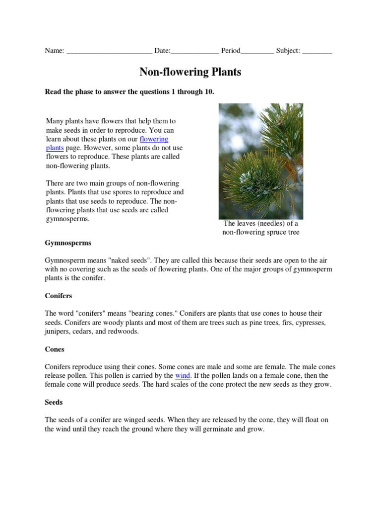 Non-Flowering Plants: Read The Phase To Answer The Questions 1 Through ...