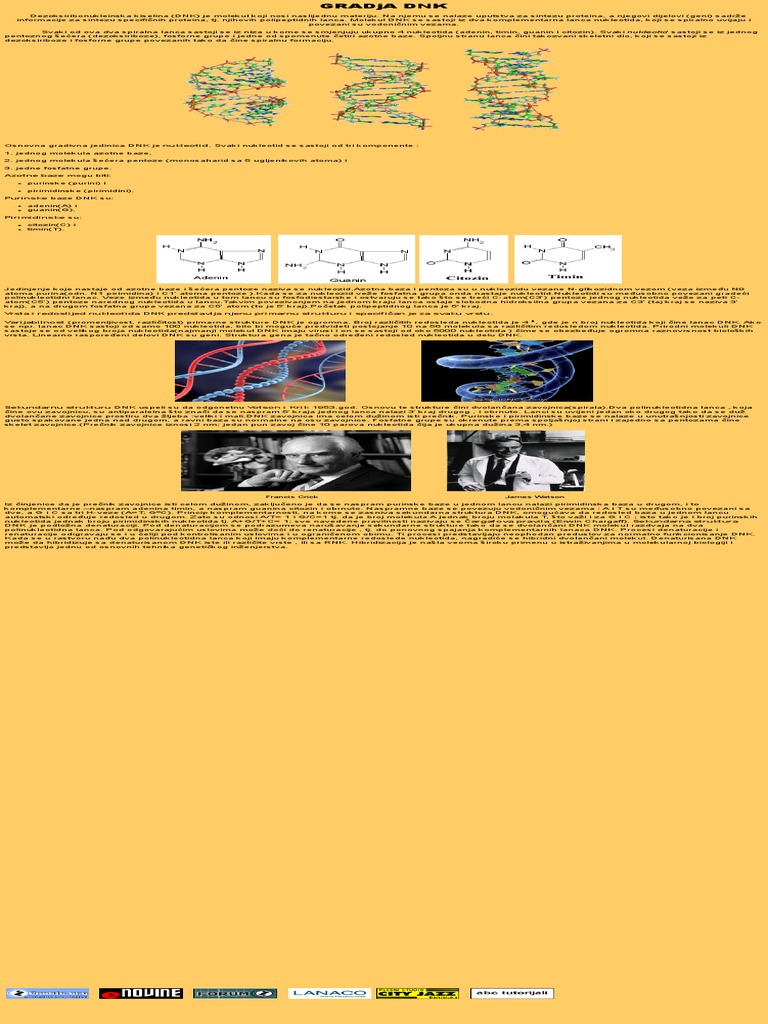 Gradja DNK | PDF