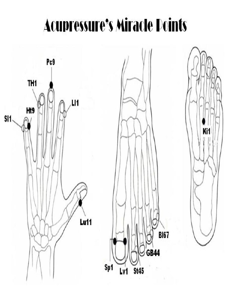 Titik Akupresur Pdf Pulse Hand