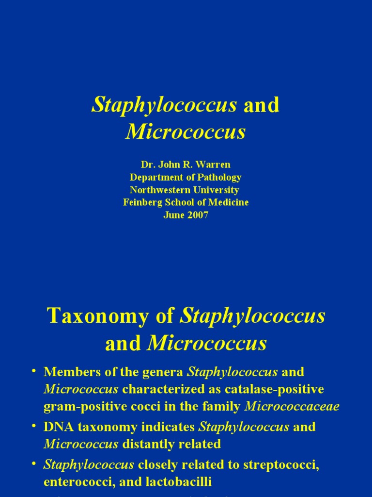 07 Staphylococcus And Micrococcus V1 3 Pdf Staphylococcus