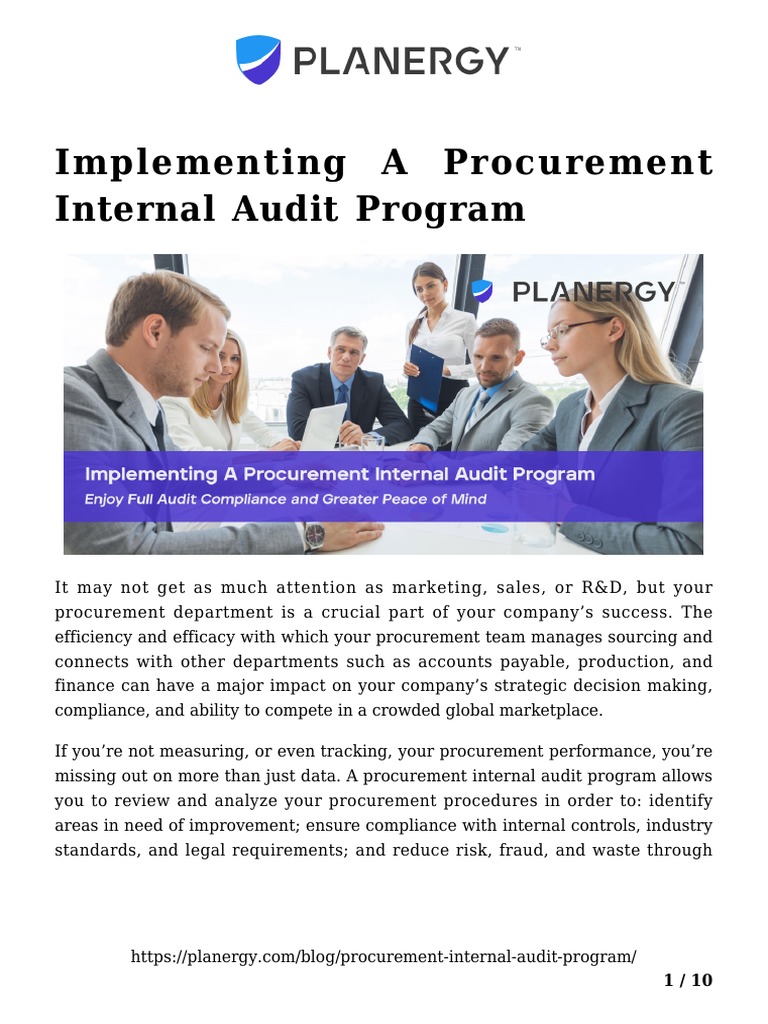 Implementing A Procurement Internal Audit Program | PDF | Procurement ...