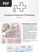 ACOG Guidance Update - Diagnosis and Management of PROM (Prelabor ...