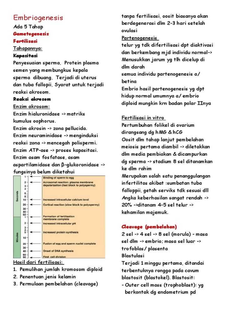 Proses Embriogenesis pada Ayam | PDF