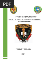 Simbolos y Distintintivos de La PNP | PDF