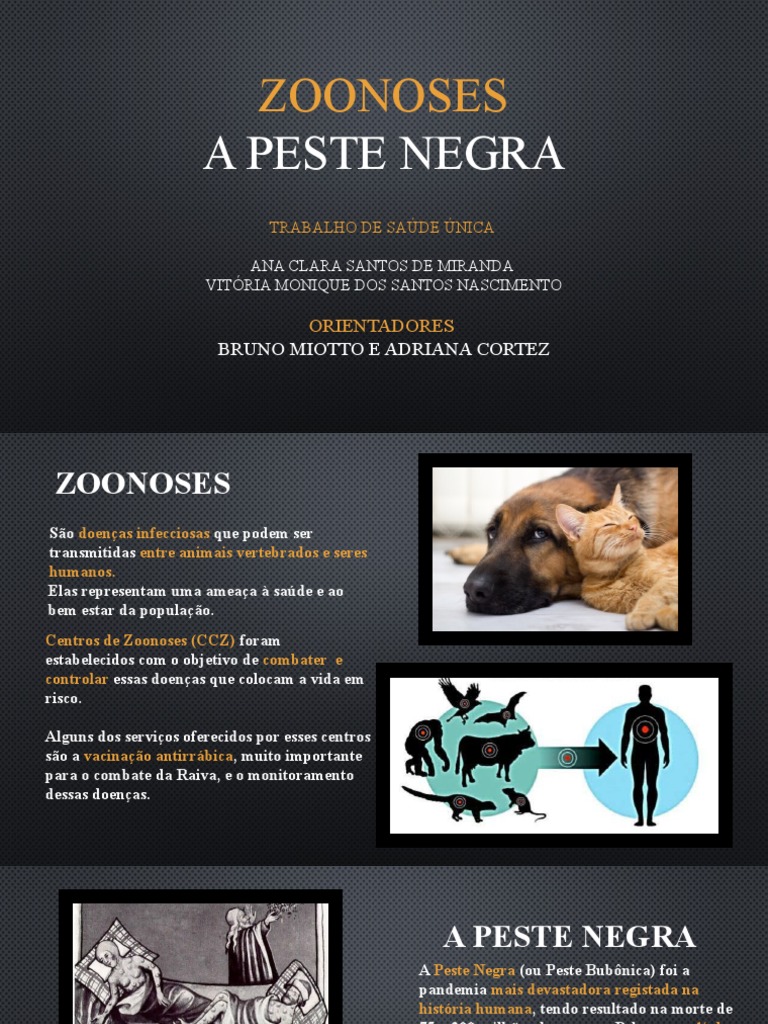 Peste Negra - Slides | PDF | Peste negra | Doenças e distúrbios