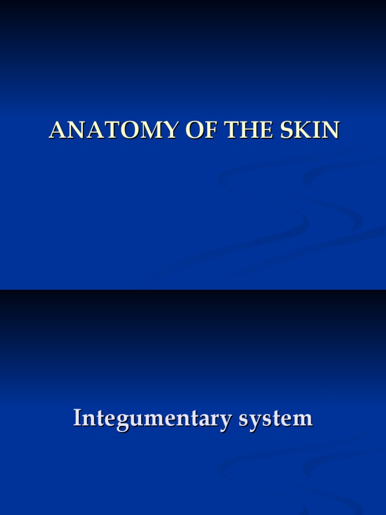 Anatomy of The Skin | PDF | Epidermis | Skin