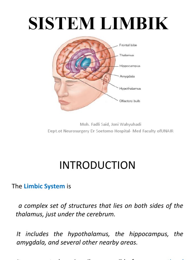 Sistem Limbik | PDF | Limbic System | Hippocampus