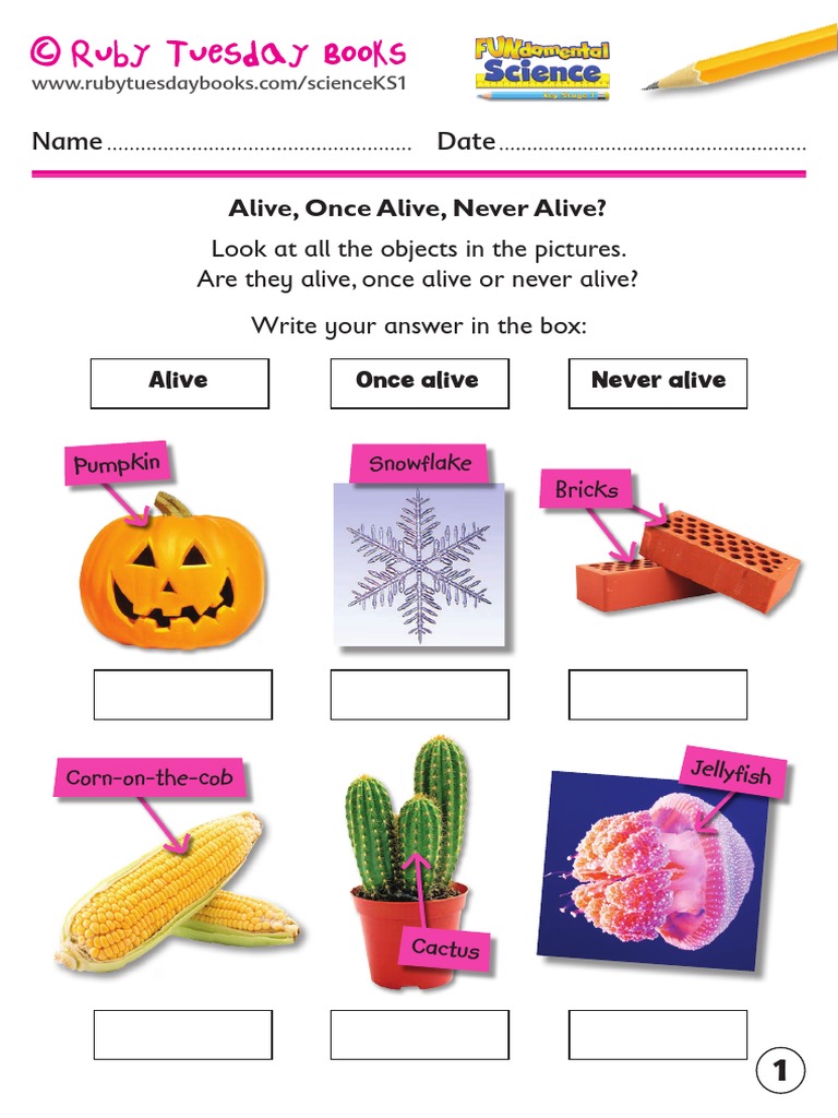 Look at All The Objects in The Pictures. Are They Alive, Once Alive or ...