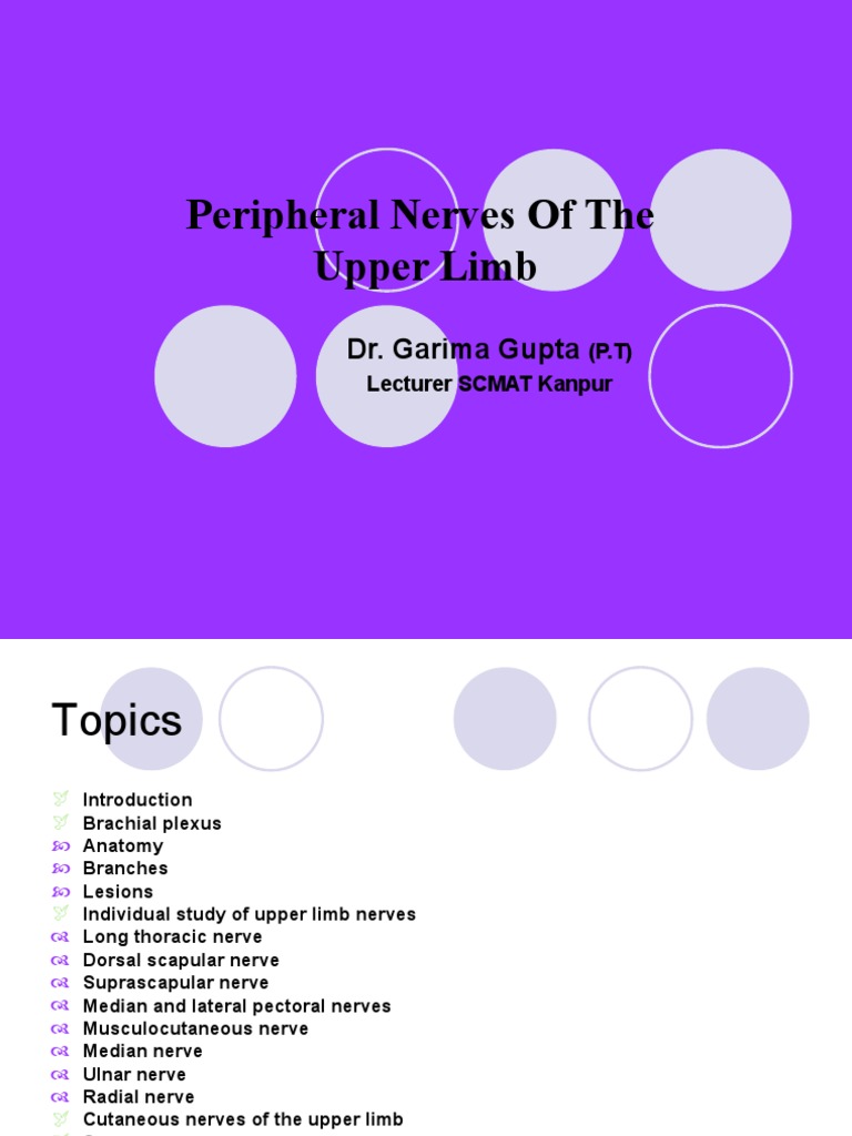 Peripheral Nerves of UL by Garima | PDF | Hand | Musculoskeletal System