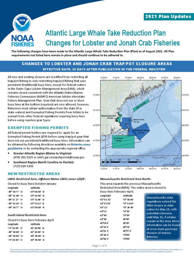 NOAA Fisheries Atlantic Large Whale Take Reduction Changes For Lobster ...