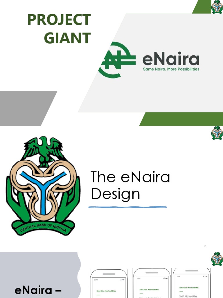 E Naira | PDF | Banks | Fee