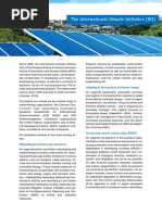 IKI Strategy for Climate Action 2030 | PDF | Climate Change Mitigation ...