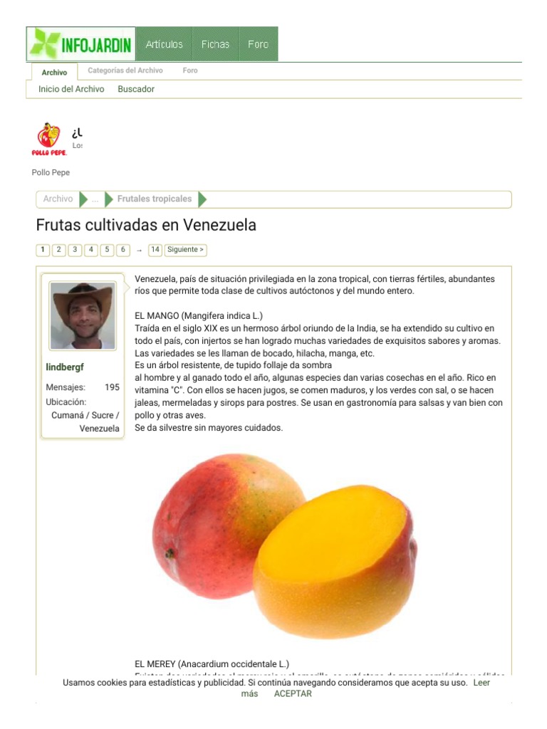 Frutas Cultivadas en Venezuela | PDF | Fruta | Botánica