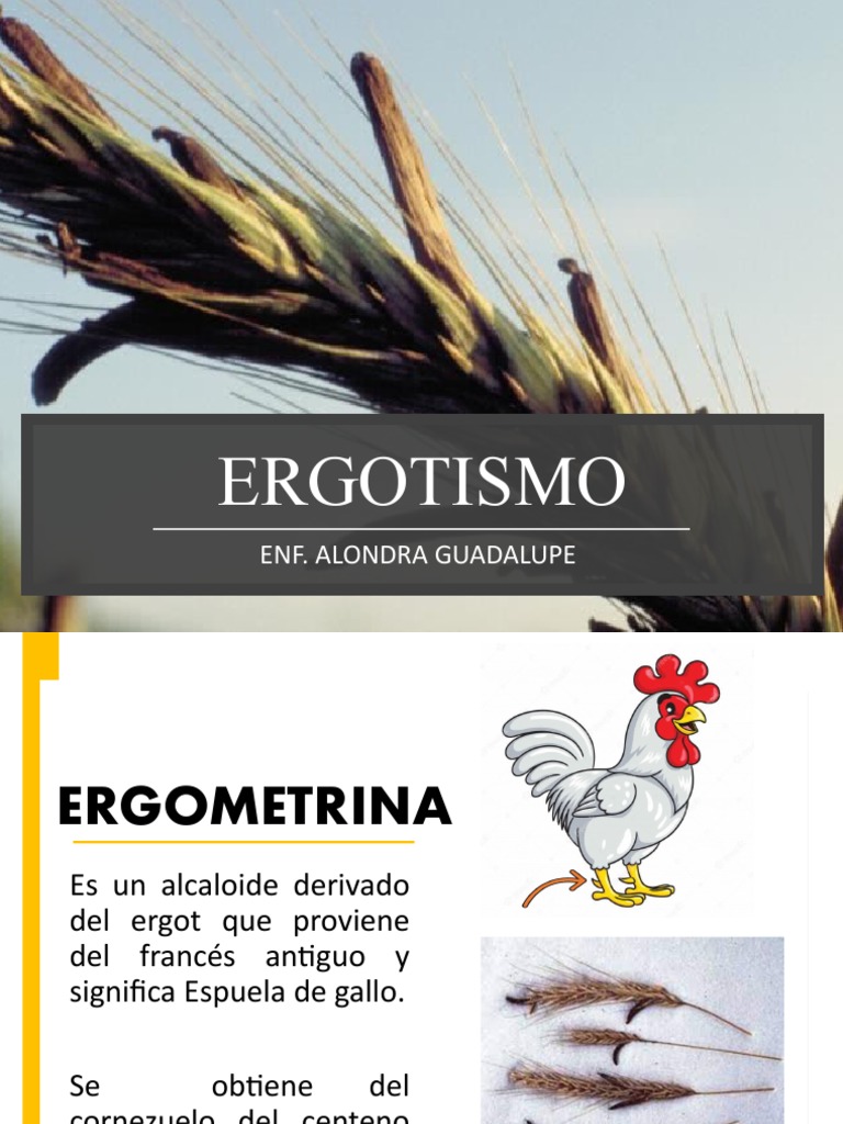 Alondra Ergotrate | PDF | Centeno | Medicina CLINICA