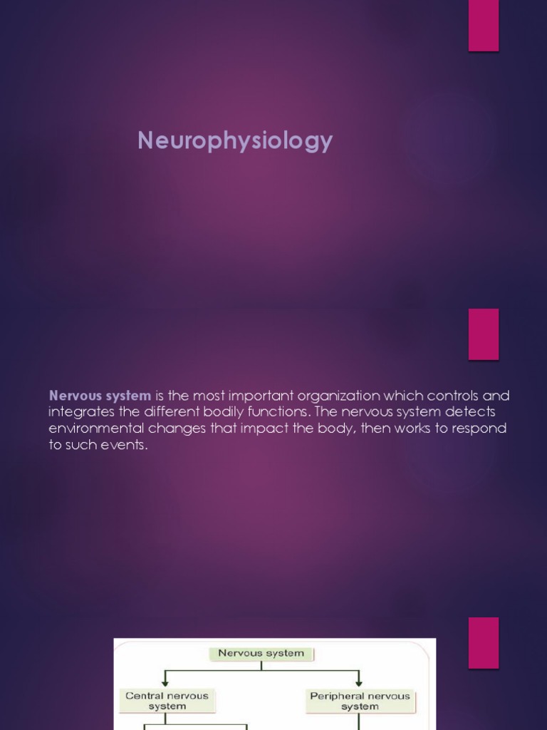 Neurophysiology 2 | PDF | Chemical Synapse | Neurotransmitter