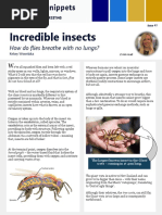 Insects Identification Key PDF | PDF | Fly | Insects