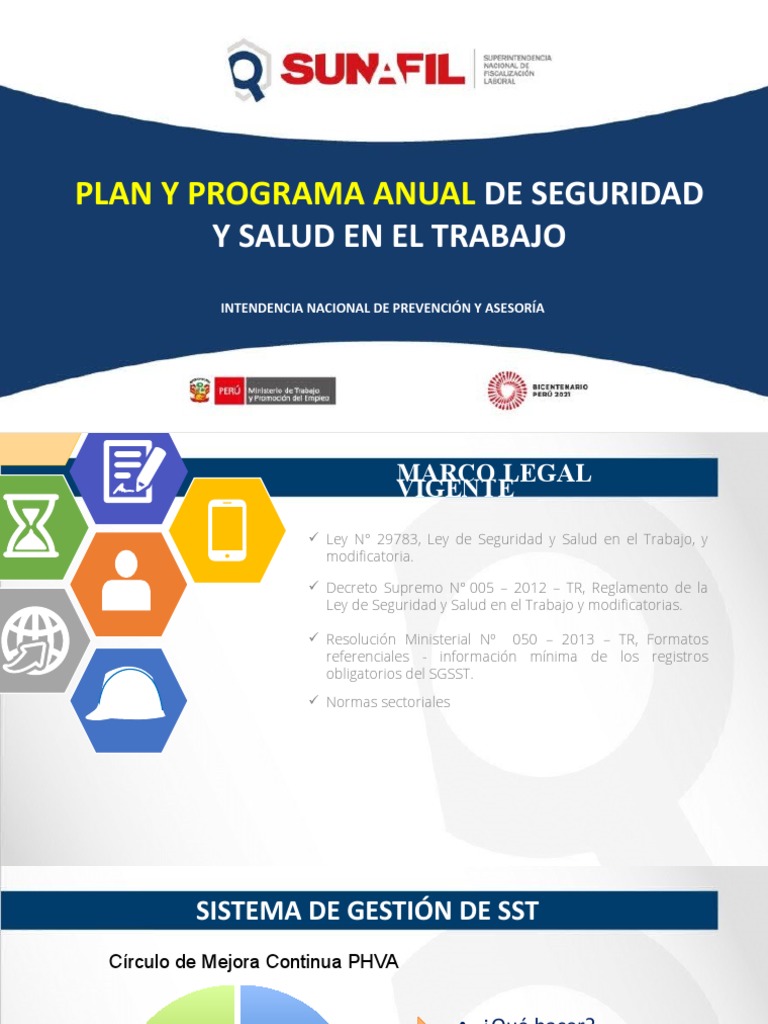 Plan y Programa Anual de SST - 2021 | PDF | Presupuesto | Planificación