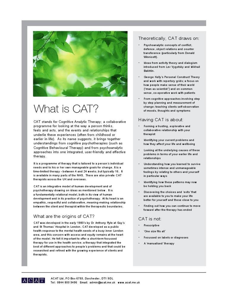What is CAT | PDF | Psychotherapy | Therapy