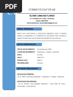 Curriculum Vitae Practicante Senati | PDF