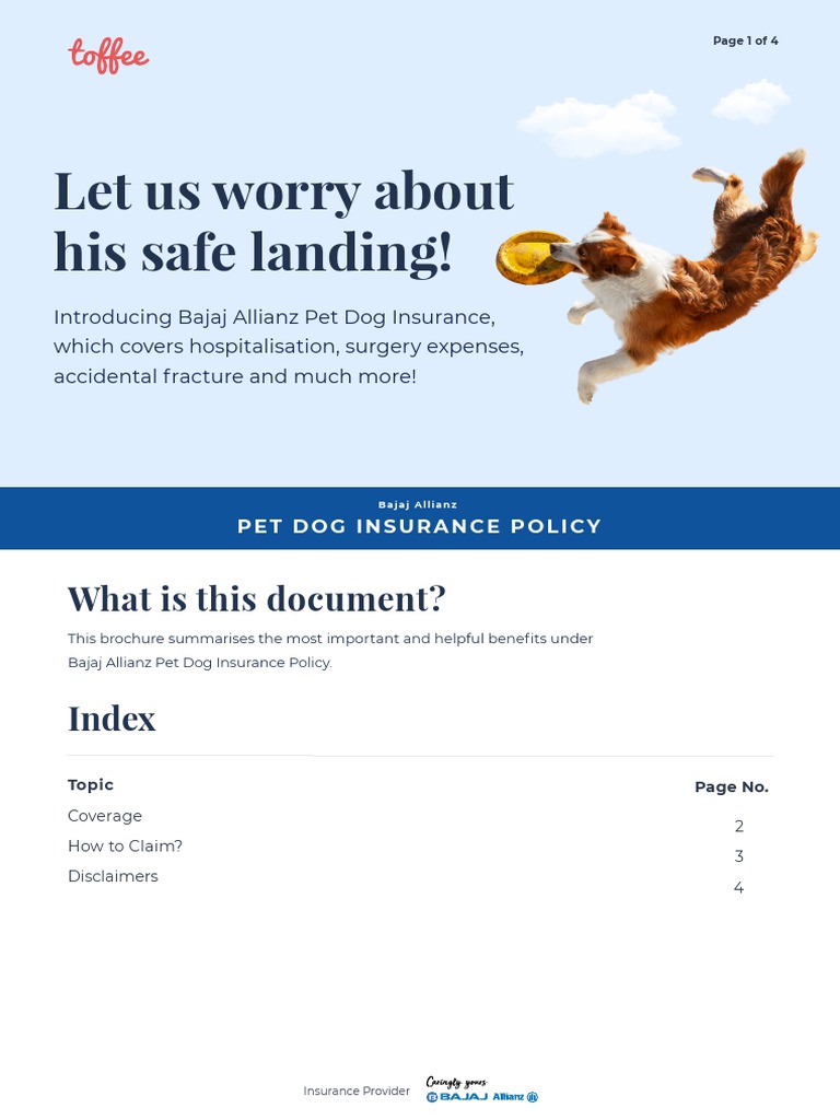 Pet Insurance Coverage and Claims Process: An Overview of the Bajaj ...