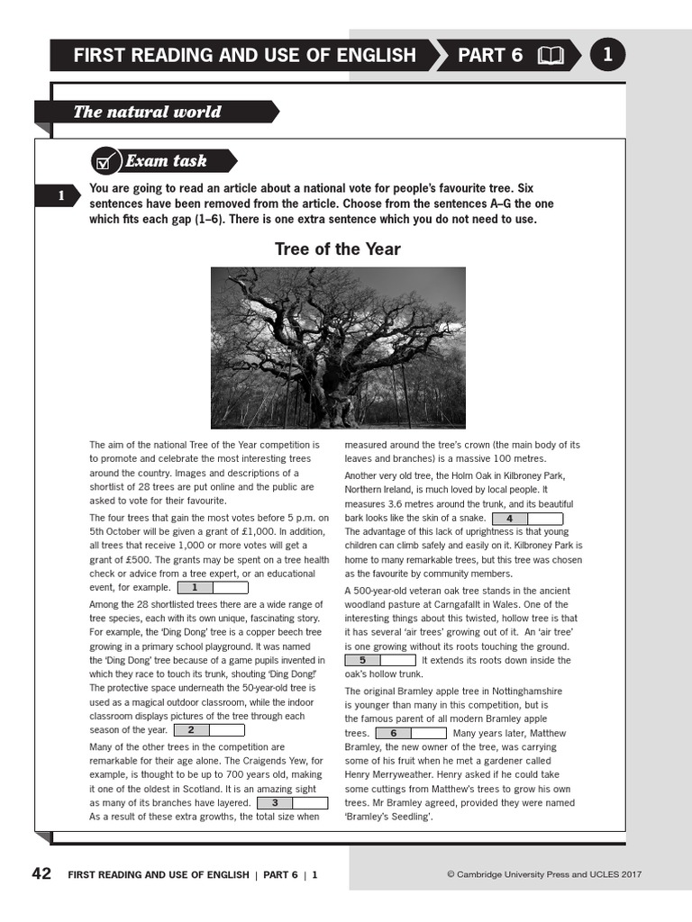 REading Part 6 Booster 1 and 2 | PDF | Trees