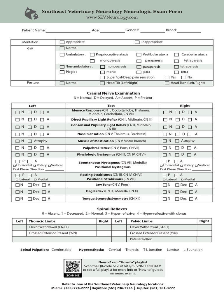 Southeast Veterinary Neurology Neurologic Exam Form: Patient Name: Age ...