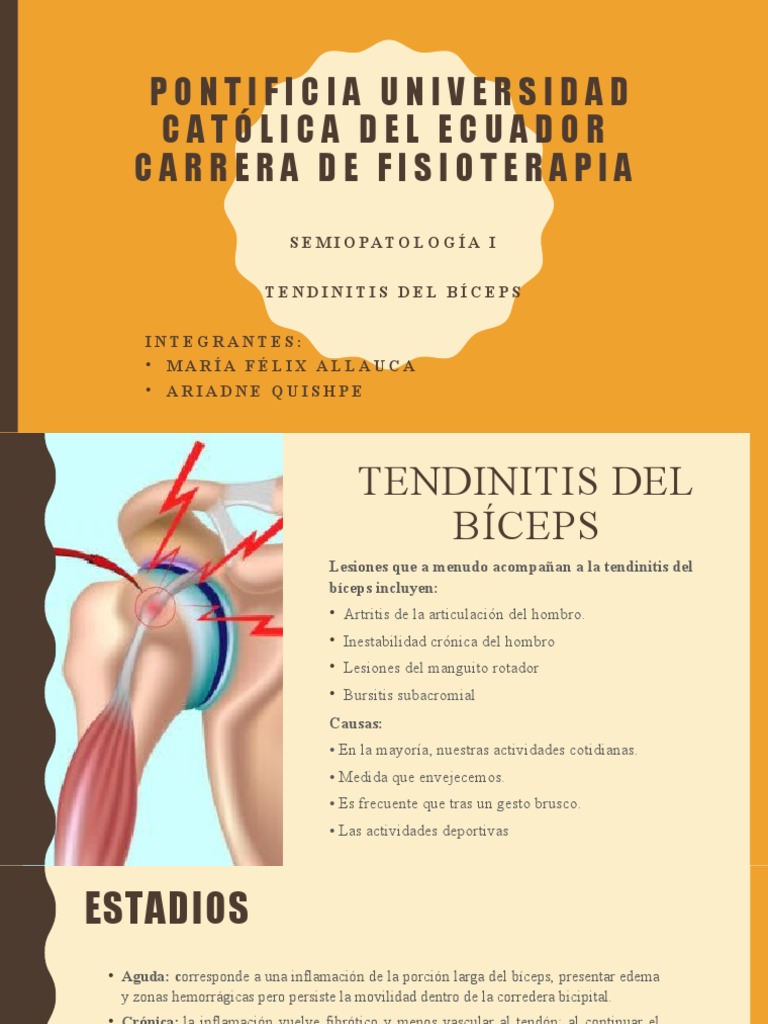Tendinitis Del Bíceps | PDF | Hombro | Codo