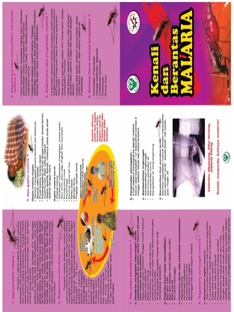Malaria Prevention Tips | PDF