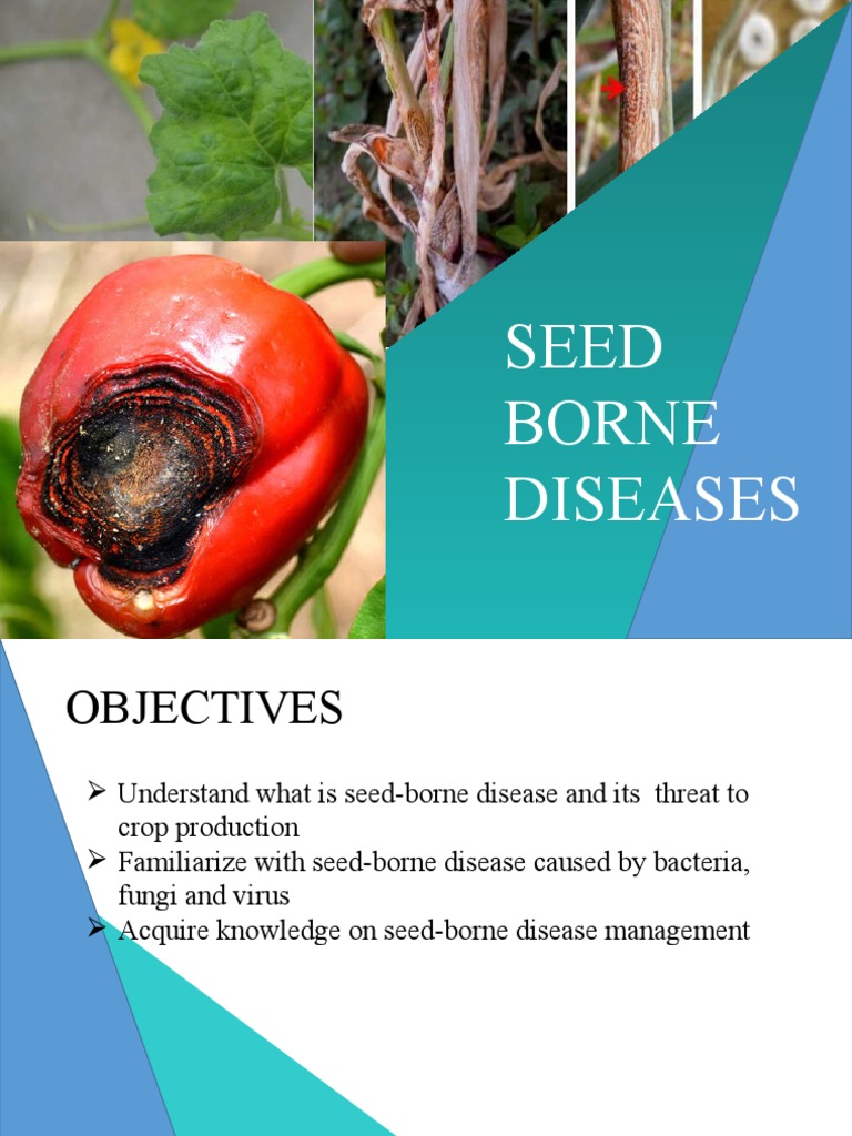 Seed Borne Diseases | PDF | Seed | Pathogen