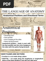 Patterns of PNF | PDF | Anatomical Terms Of Motion | Human Leg