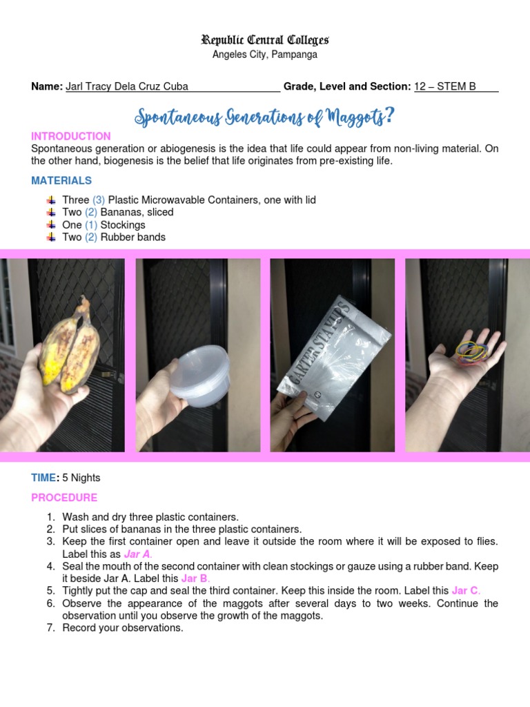 Jarl Tracy Cuba - Experiment 1 Spontaneous Generations of Maggots | PDF ...