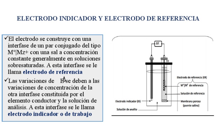 Electrodo Indicador y Electrodo de Referencia | PDF
